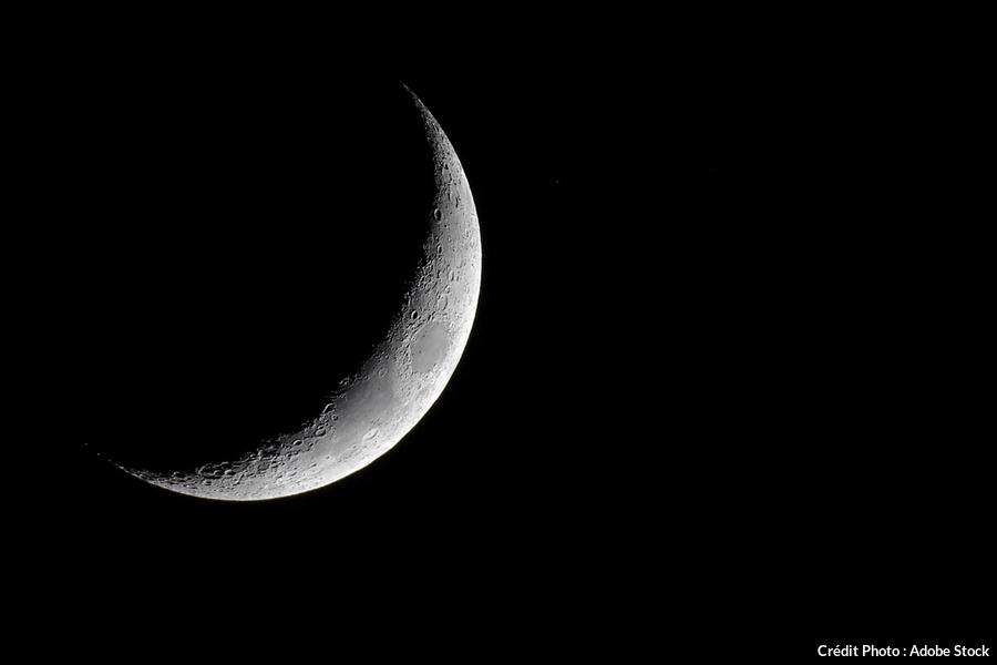 Premier et dernier quartier de Lune : quelles incidences ? | Détente jardin