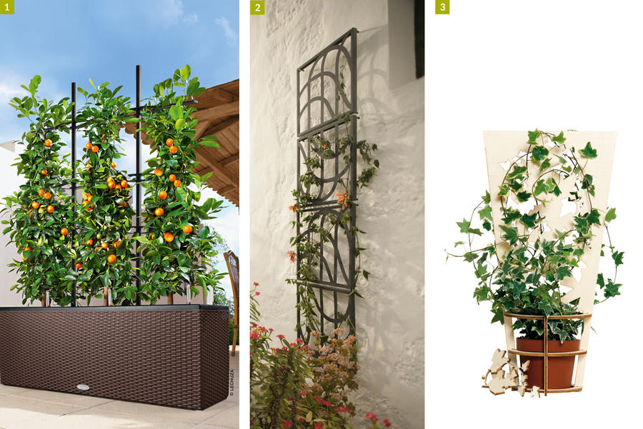 Treilles chics cherchent jardins à embellir | Détente jardin