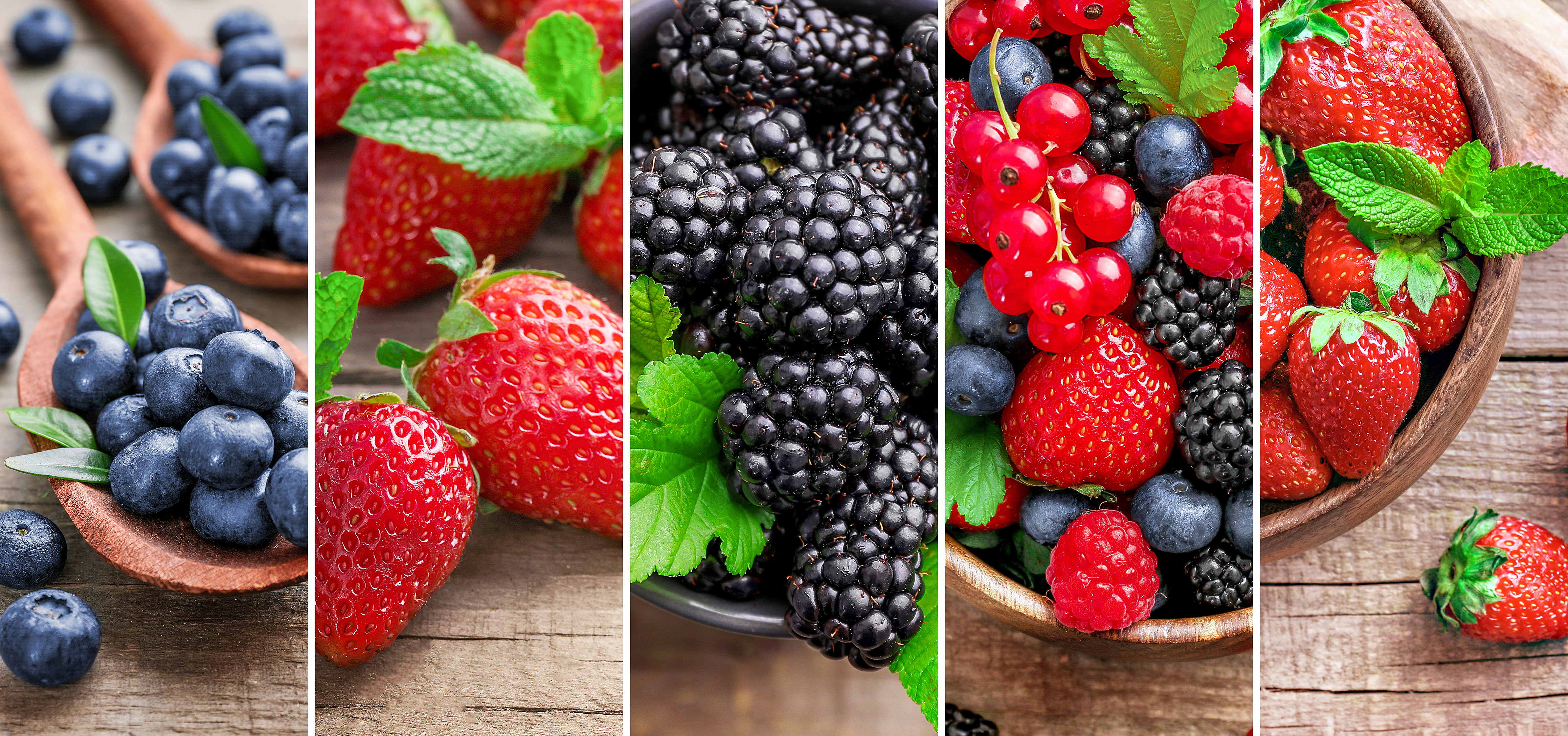 Récolter les petits fruits de la belle saison | Détente jardin