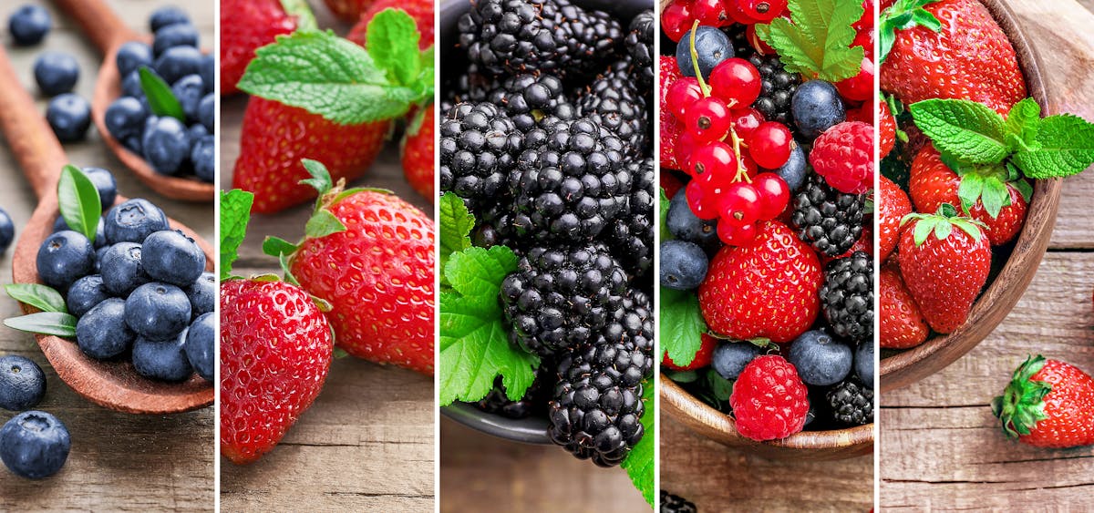 Récolter les petits fruits de la belle saison | Détente jardin