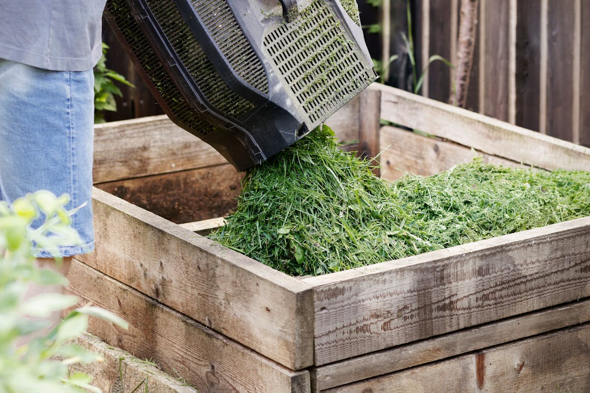 Comment recycler les déchets de tonte de pelouse au jardin ? | Détente ...