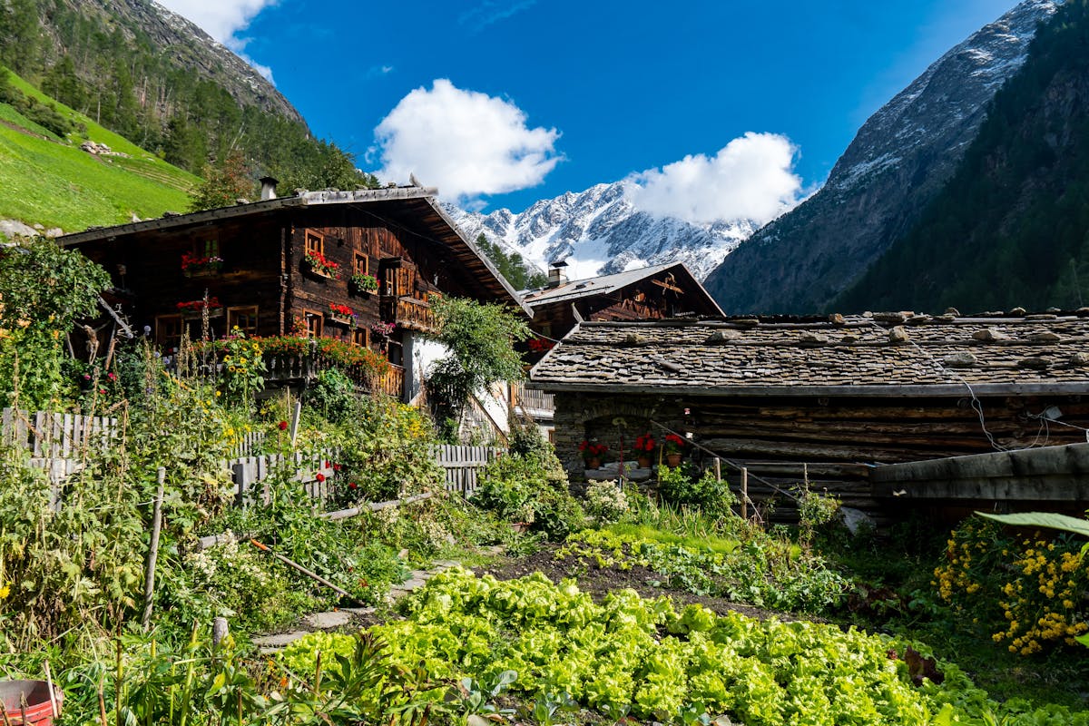 Potager de montagne : astuces pour réussir son jardin en altitude ...